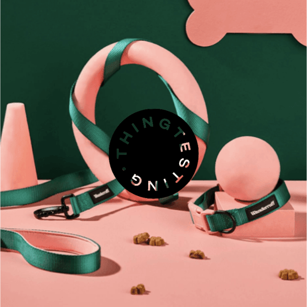 ThingTesting: Ready for Takeoff Brands Launching in 2021 – Wanderruff