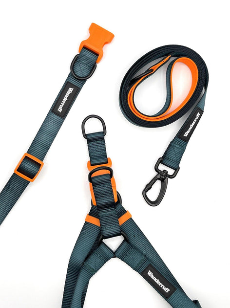 Walk Kits – Wanderruff