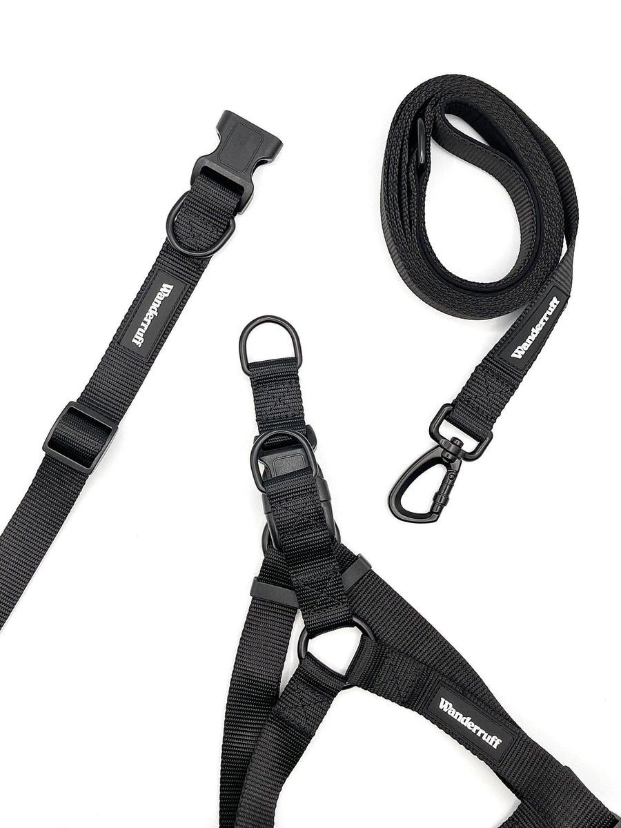 Samson Walk Kit – Wanderruff